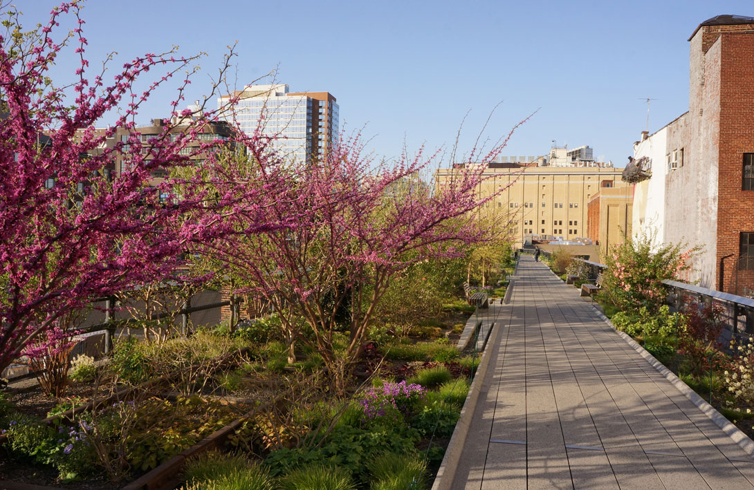 Piet Oudolf High Line Piet Oudolf High Line