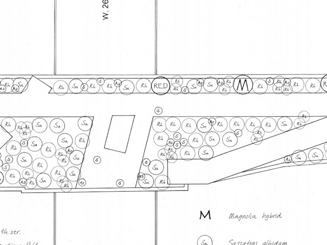 Piet Oudolf » Planting: A New Perspective